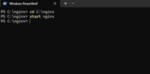 Установка и настройка Nginx на Windows: Полное руководство - SetiWik